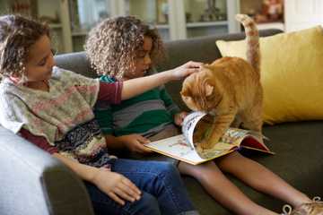 Free Apps For Cats! | Petfinder