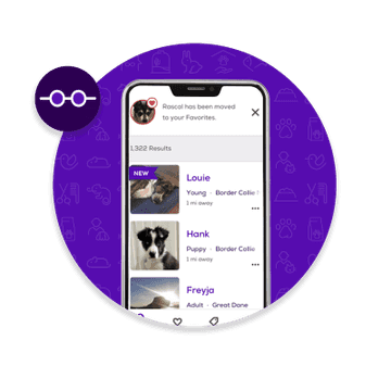 Download the Petfinder App Today! | Petfinder