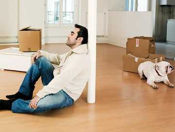 Adopting Pets | Petfinder