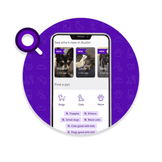 Download the Petfinder App Today! | Petfinder