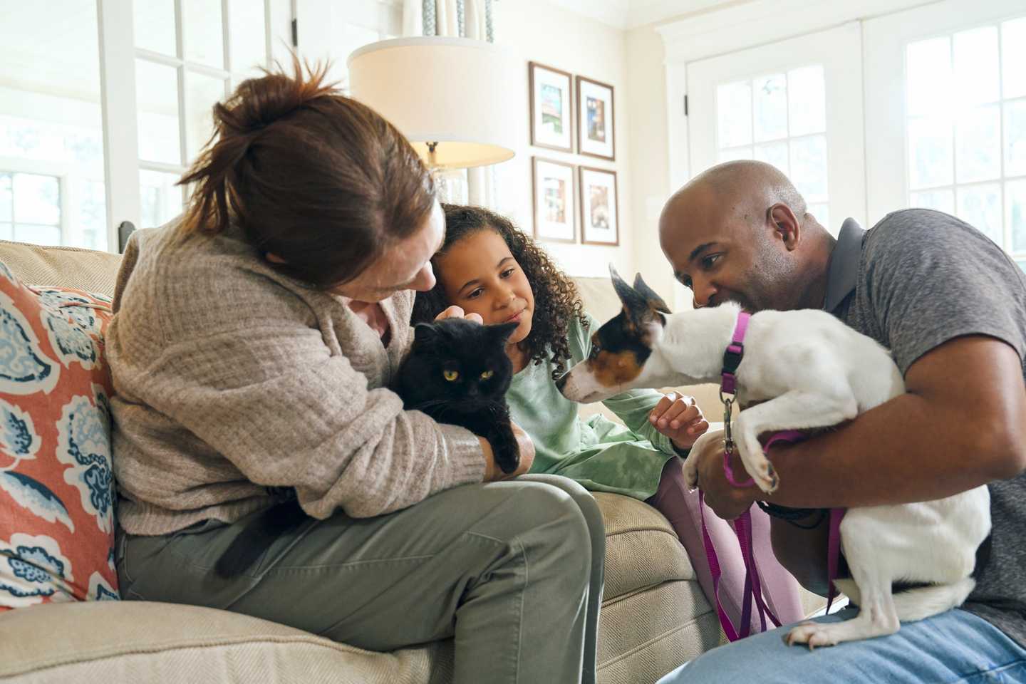 How to Introduce a New Dog to Other Dogs | Petfinder