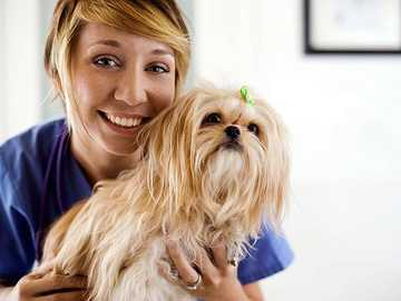 Careers With Animals – Job Descriptions | Petfinder